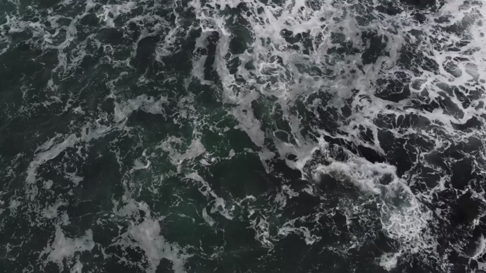 From Disclosure to Discipline: Redefining Risk Communication as a Core ...